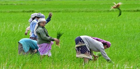 Bhutan sees commercial farming as the way to go | South Asia Monitor
