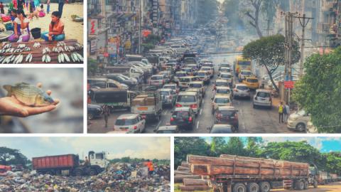 Myanmar’s muddled politics is leading to Irreparable environmental ...